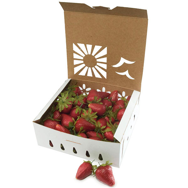 2 Quart Reversible Paper Sustainable Produce Containers | Bulk