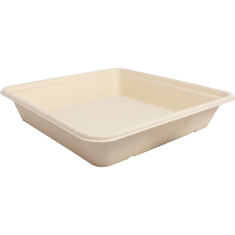 9x9" World Centric Fiber Linear Takeout Containers | CT-FB-9-LFP