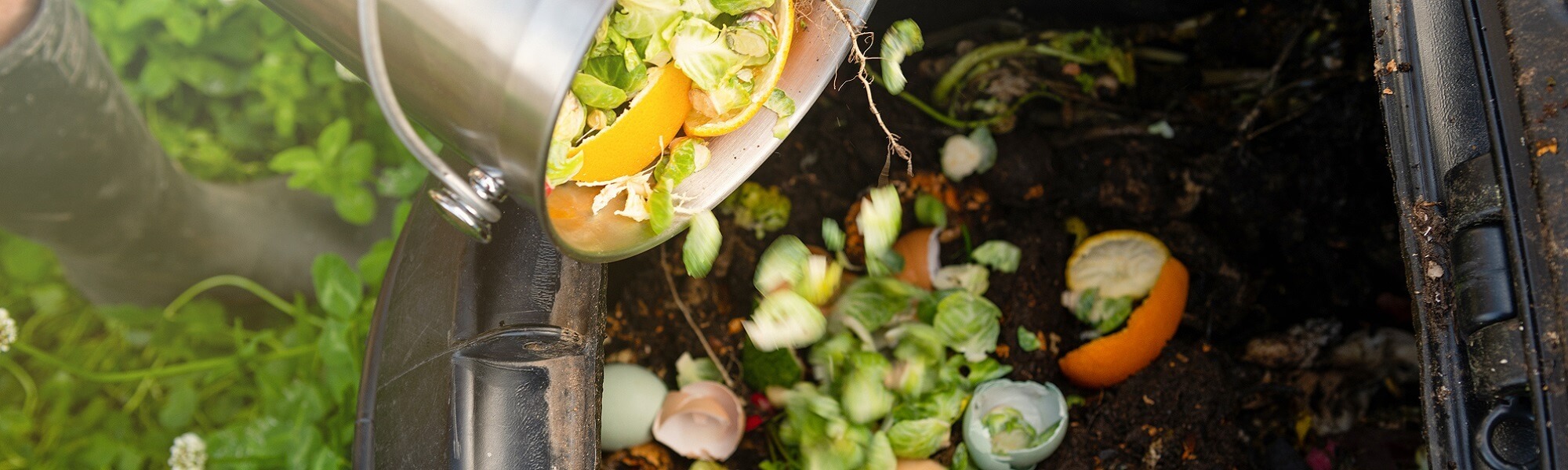 How Does Composting Work? A Guide to the Process