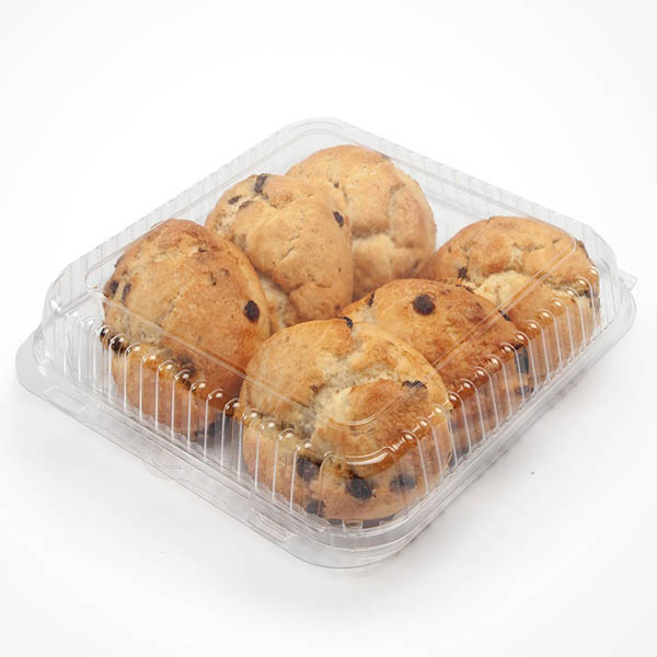 Sample of Square 80 oz Compostable Clamshell Container