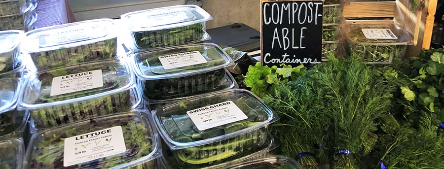 Biodegradable vs. Compostable: Definitions and Differences