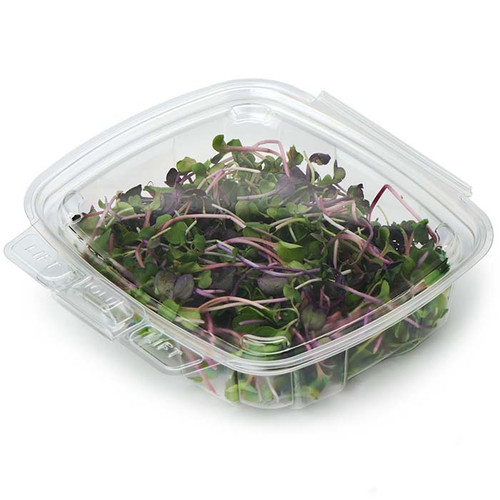 Sample of 8 oz Compostable PLA Clamshell Containers