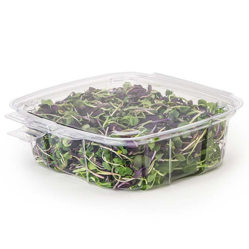 Sample of 24 oz Compostable PLA Clamshell Containers