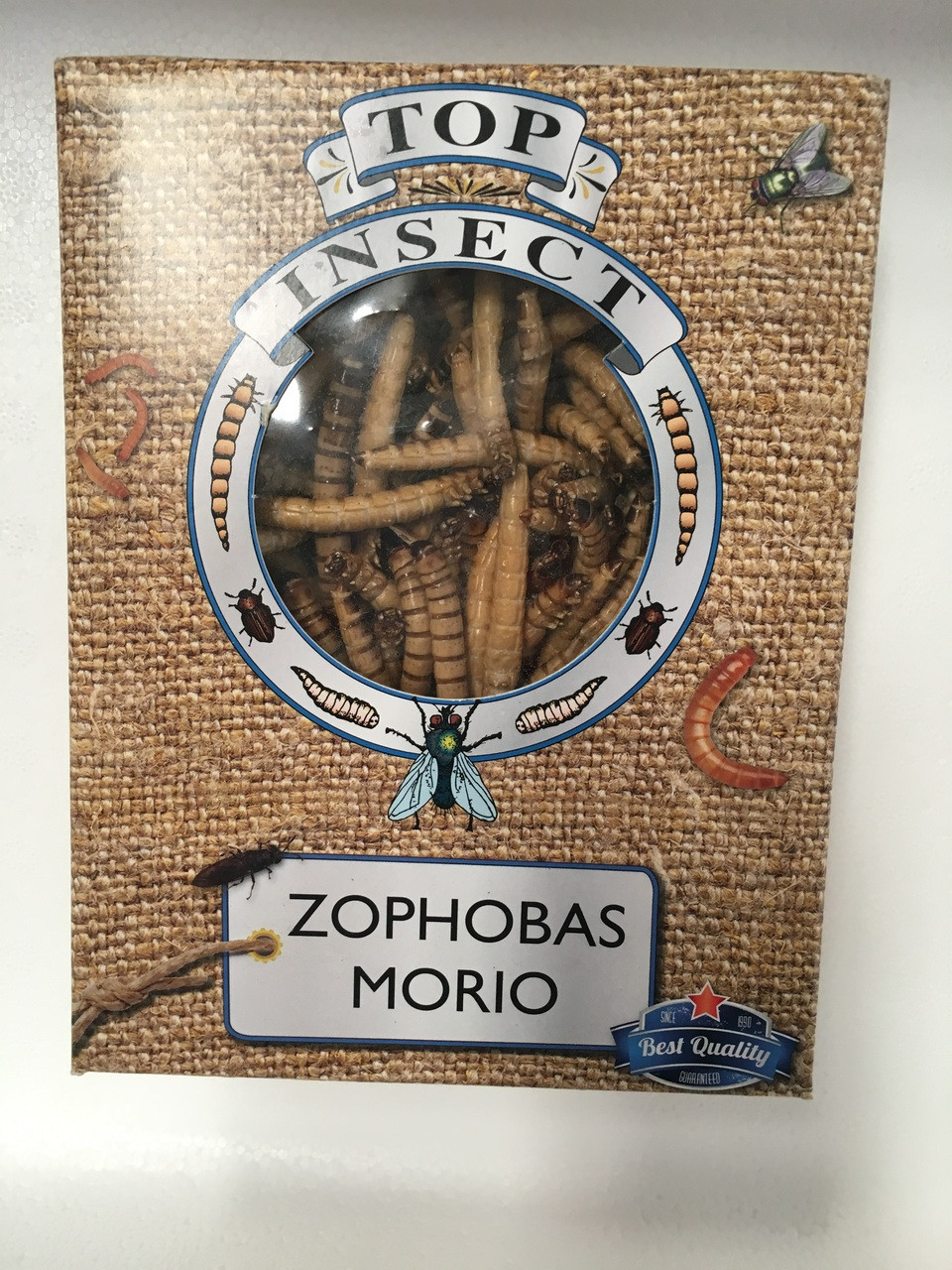 Topinsect Morio worms 1 litre box - animalfoods.ie