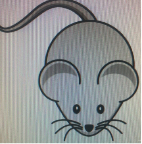 Large wean rat 60-90 g - animalfoods.ie