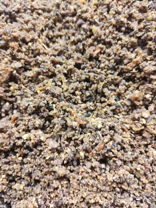 Insect pate 1kg - animalfoods.ie