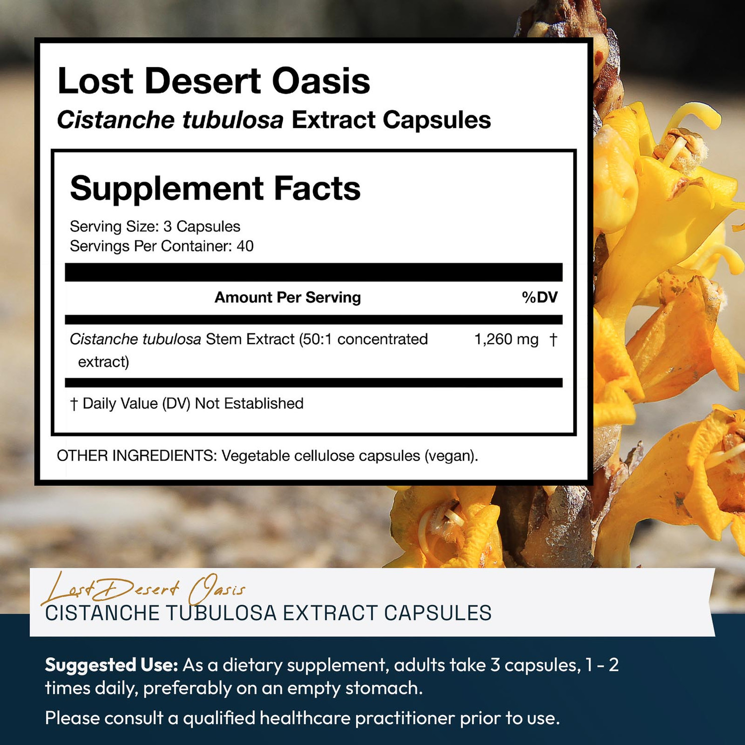Cistanche Tubulosa 50:1 Extract Capsules | 120 Count