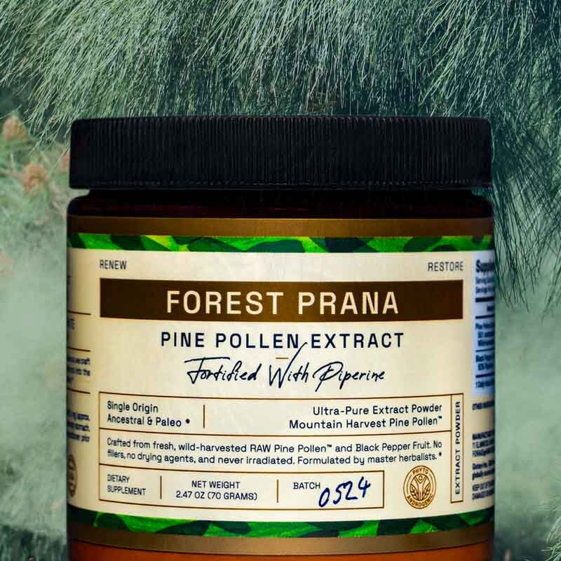 Nutritional Benefits of Pine Pollen » RAW Forest Foods