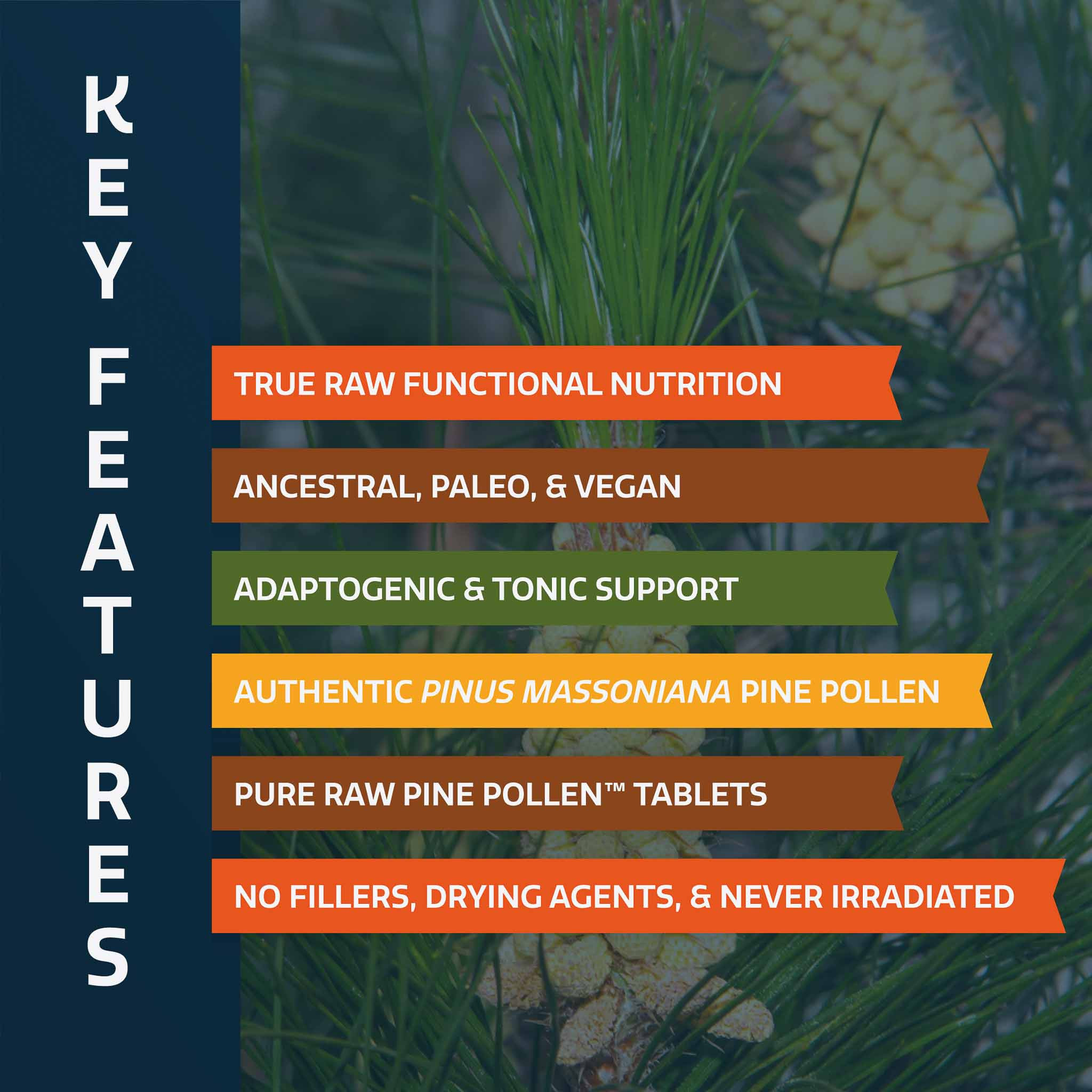 Forest Manna RAW Pine Pollen™ Capsules, Powders, and Tablets