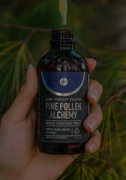 RAW Pine Pollen™, Capsules, Extracts, Tinctures » RAW Forest Foods