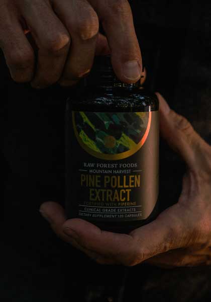 RAW Pine Pollen™, Capsules, Extracts, Tinctures » RAW Forest Foods