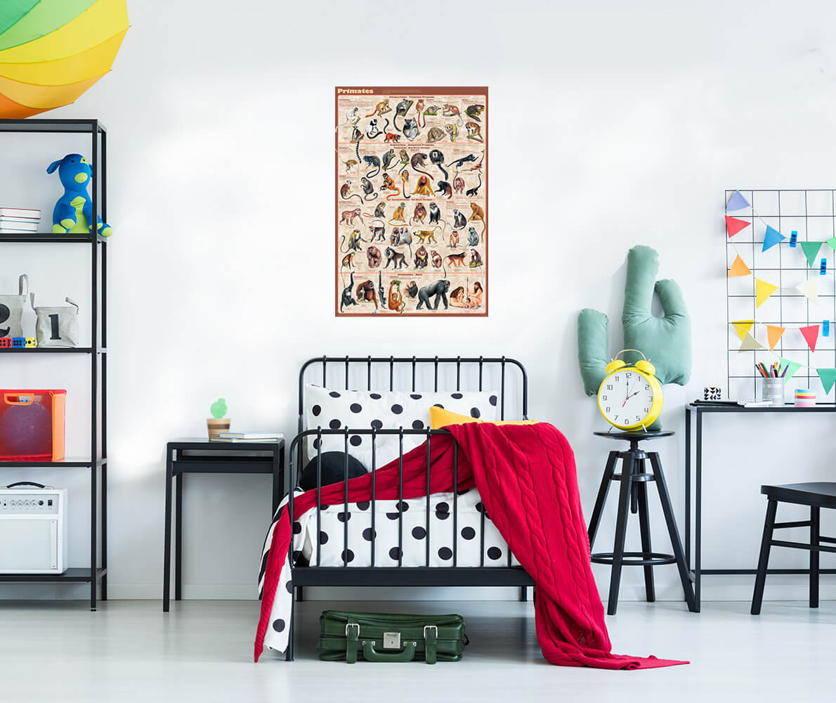 Primates Educational Poster 24x36 - The Blacklight Zone