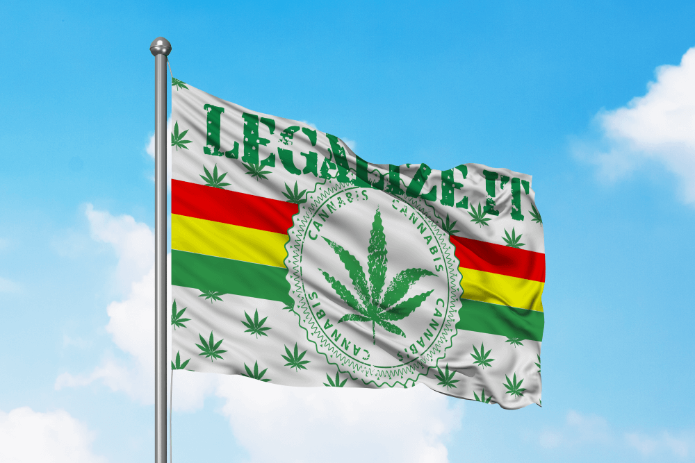 Legalize It Fly Flag 3' x 5' - The Blacklight Zone
