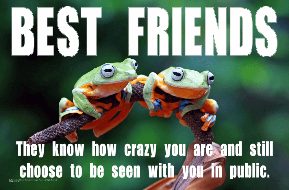 Best Friends - Tree Frogs Mini Poster - 17x11 - The Blacklight Zone