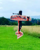 TH 37" EPP Revo P3 Biplane - Twisted Hobbys Inc.