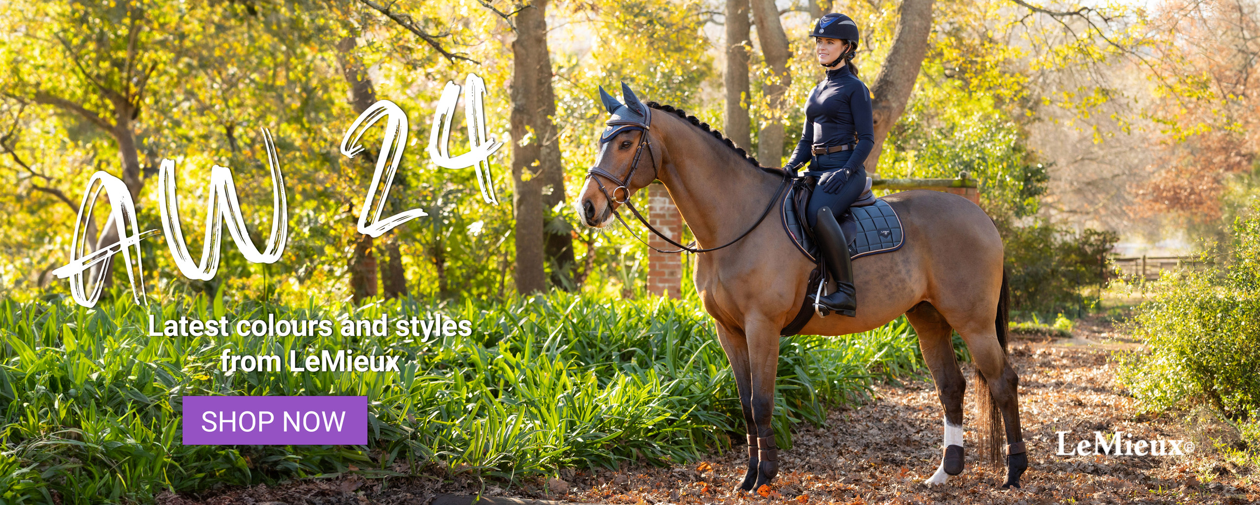 Specialist Online Tack Shop | Equine Essentials Direct