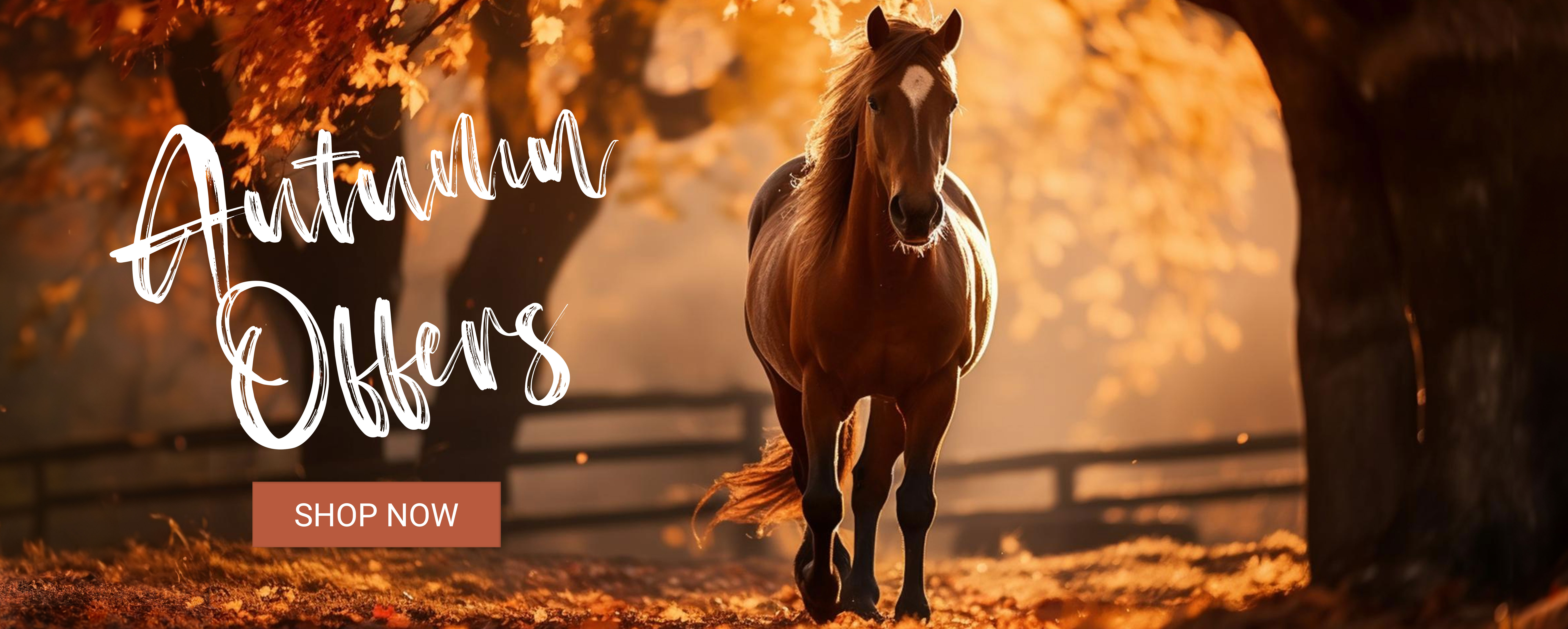 Specialist Online Tack Shop | Equine Essentials Direct