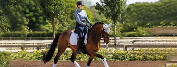 Get The Look - Equine Essentials Direct