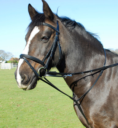Heritage Leather Market Harborough With Reins Includes Plain Leather ...
