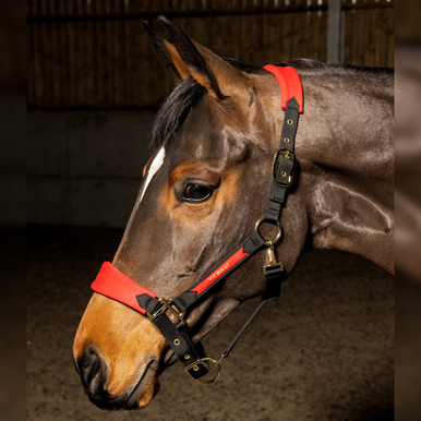 Whitaker Harewood Crest Headcollar