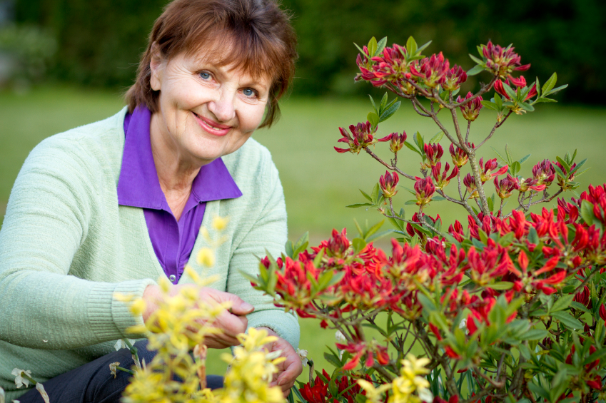 Active Aging: Spring Outdoor Activities for Seniors - Medical Care Alert