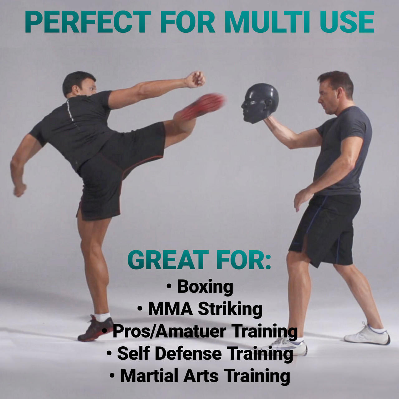 Revgear Allstrike 2 Striking Target for Boxing & MMA