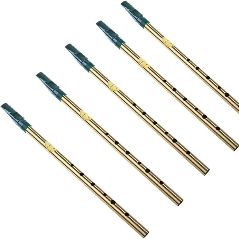 Set of 5 Traditional Irish Whistles Key "D" | Keilys.com