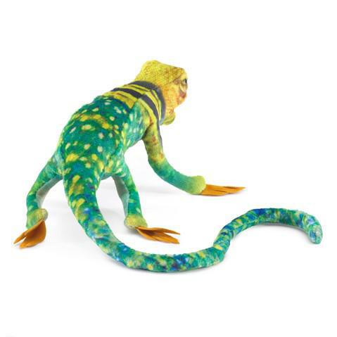 Mini Collared Lizard Finger Puppet - The Shop at Strathmore