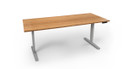 2-Leg Height Adjustable Conference Table | UPLIFT Desk