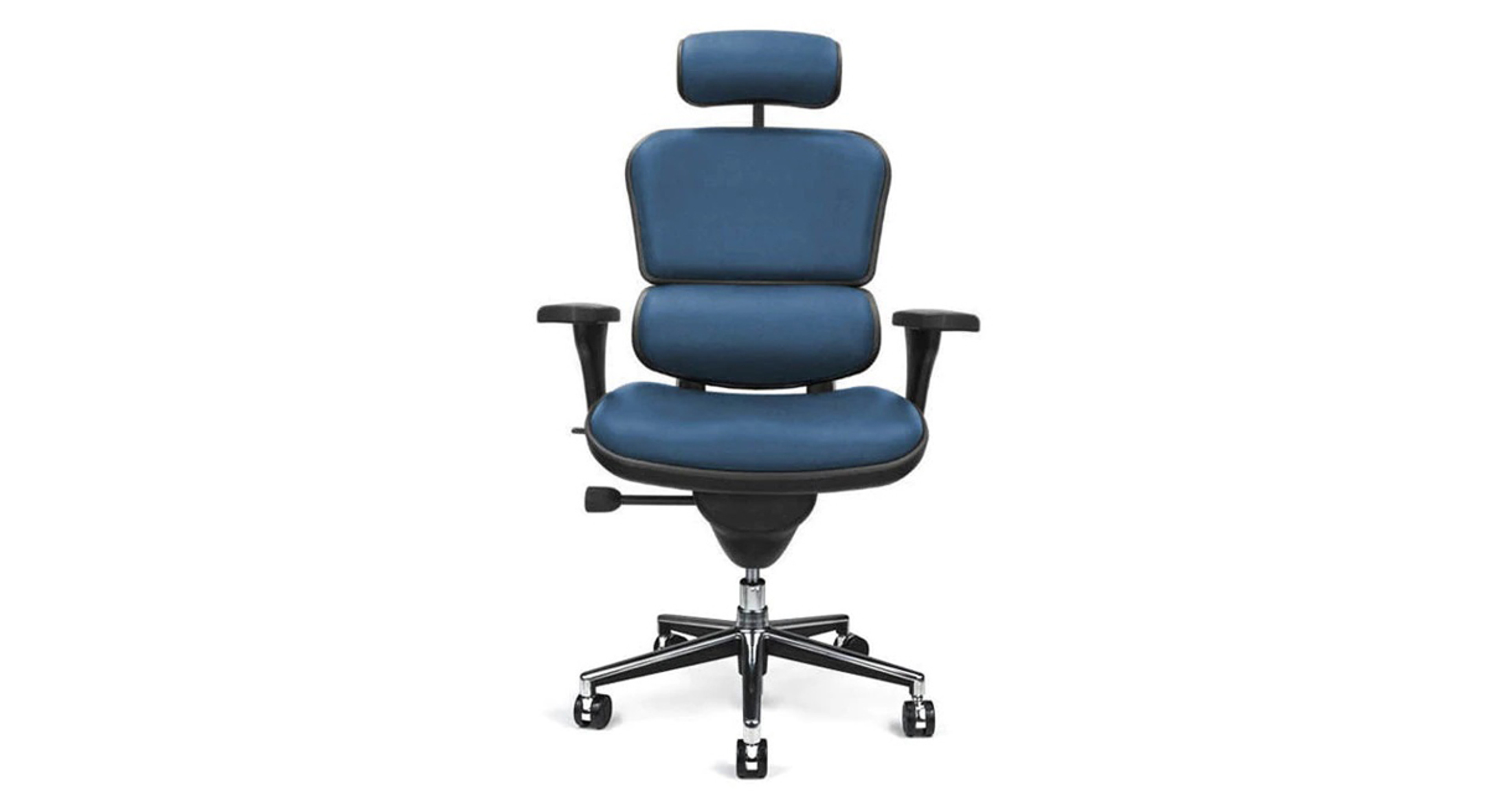 Ergohuman headrest store