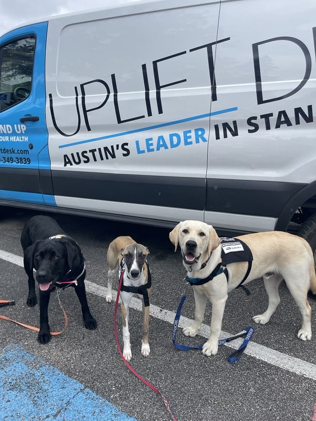A pawsitive impact: UPLIFT Desk donates pet beds to local animal ...