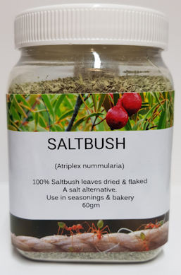 Salt Bush an Australian Native Bush Food | Taste Australia Bush Food Shop