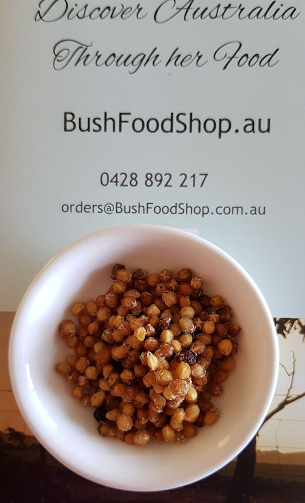 Native Currant an Australian Native Bush Food