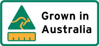 Lemon Aspen Powder | Taste Australia Bush Food Shop