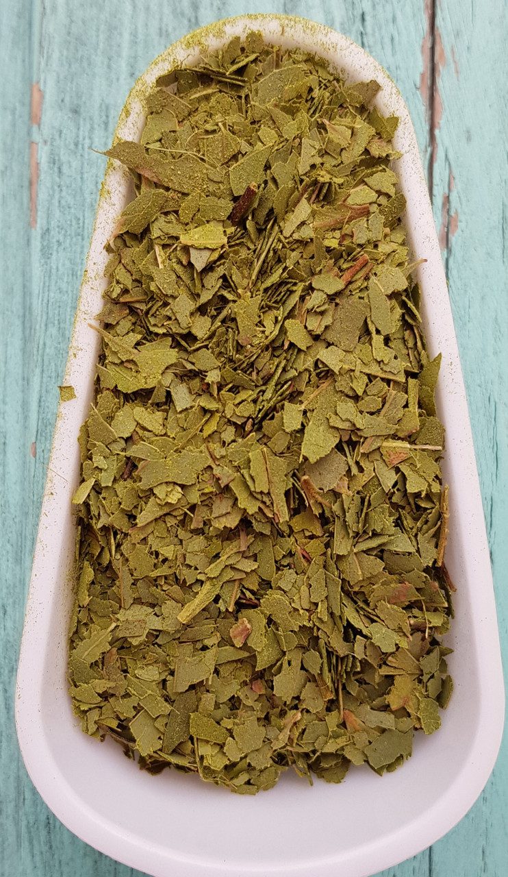 Peppermint Gum | Taste Australia Bush Food Shop