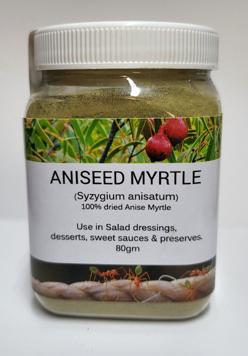 Aniseed Myrtle an Australian Native Bush Food | Taste Australia Bush ...