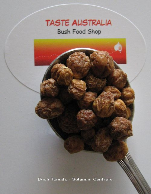 Bush Tomato an Australian Native Bush Food | Taste Australia Bush Food Shop