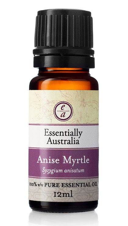 Aniseed Myrtle an Australian Native Bush Food | Taste Australia Bush ...