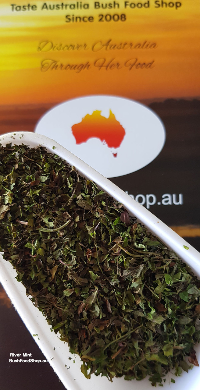 River Mint, Native Mint an Australian Native Bush Food | Taste ...