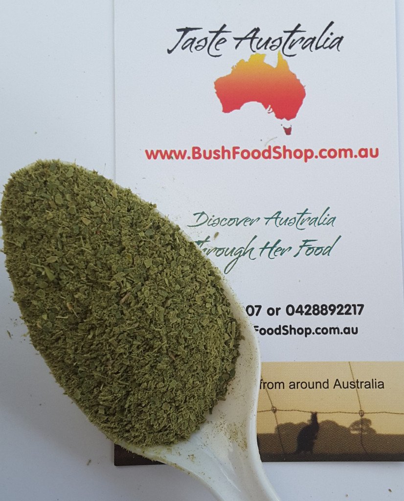 Cinnamon Myrtle an Australian Native Bush Food | Taste Australia Bush ...