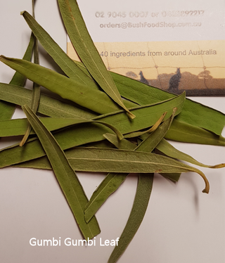 Gumbi Gumbi, Bitter Bush an Australian Native Bush Food | Taste ...