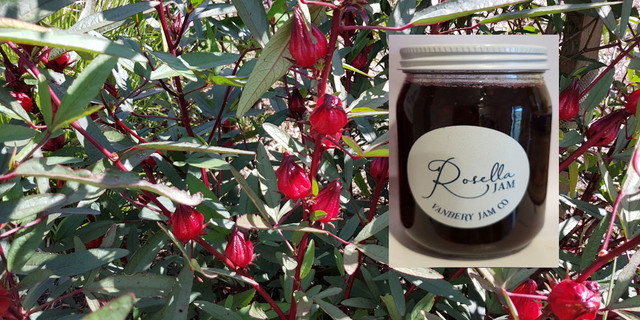 Taste Australia Bush Food Shop | Discover Australia Through Her Food