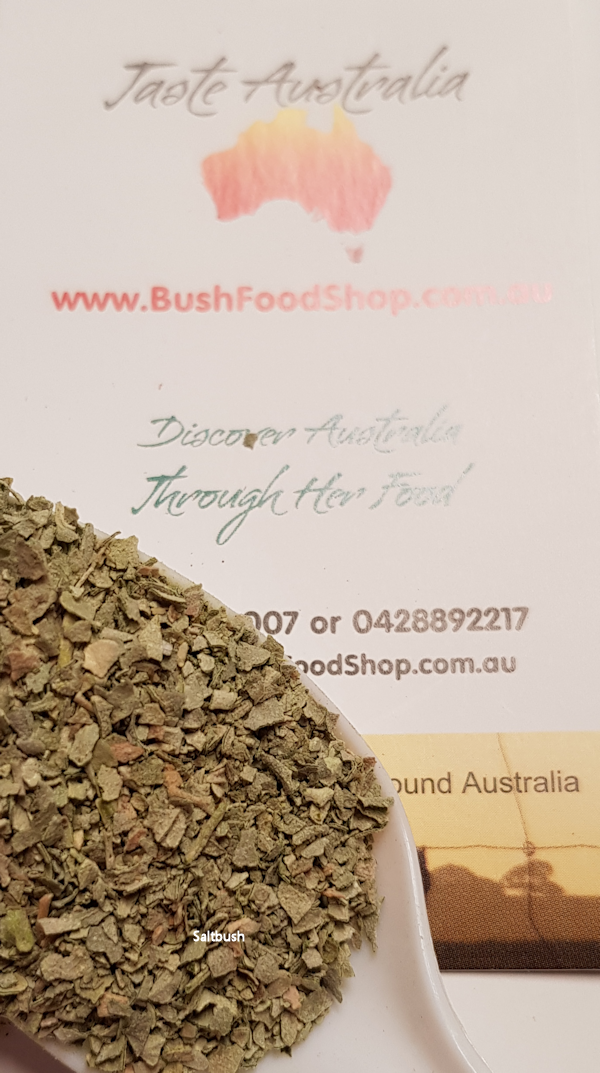 Salt Bush an Australian Native Bush Food | Taste Australia Bush Food Shop