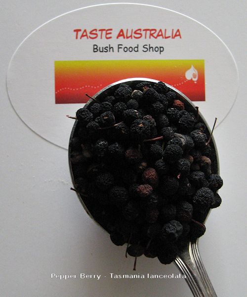 Pepperberry - Taste Australia Bush Food Shop