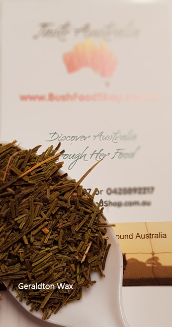 Geraldton Wax | Taste Australia Bush Food Shop