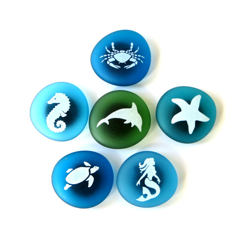 Sea Life Magnets, Set of 6. Serene Gift | Lifeforce Glass