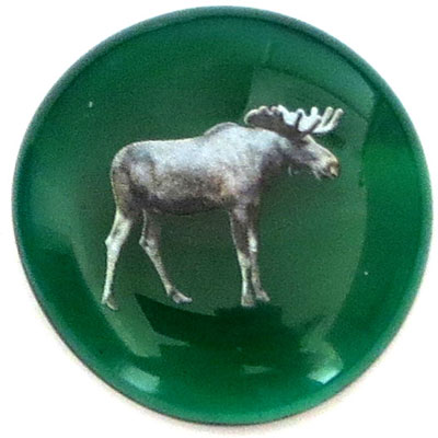 Lifeforce Glass Story and Its People