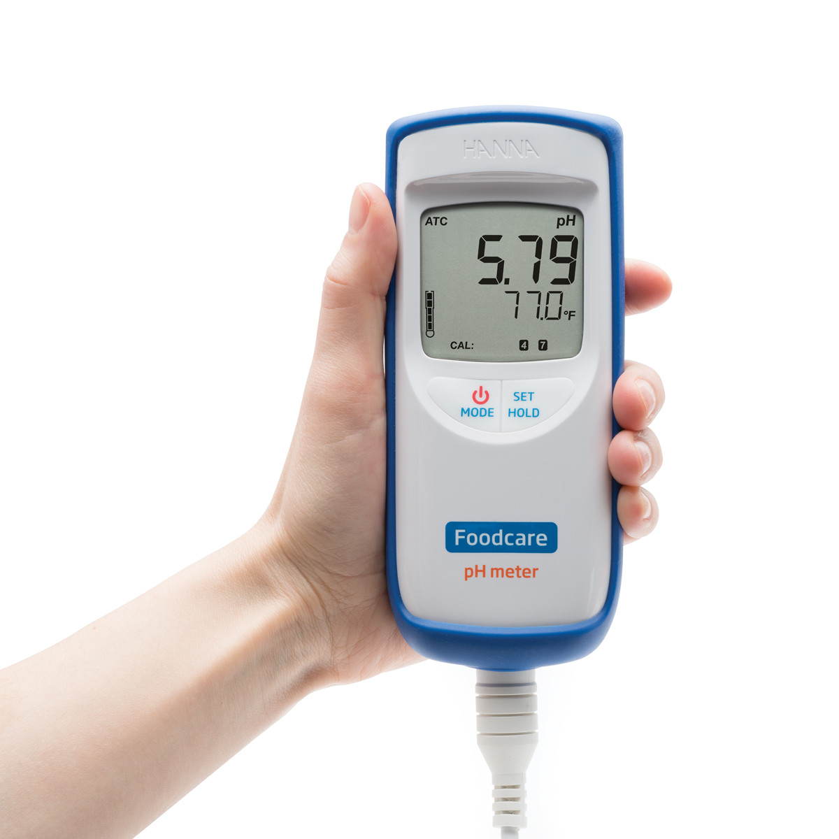Portable pH Meter for Food and Dairy - HI99161