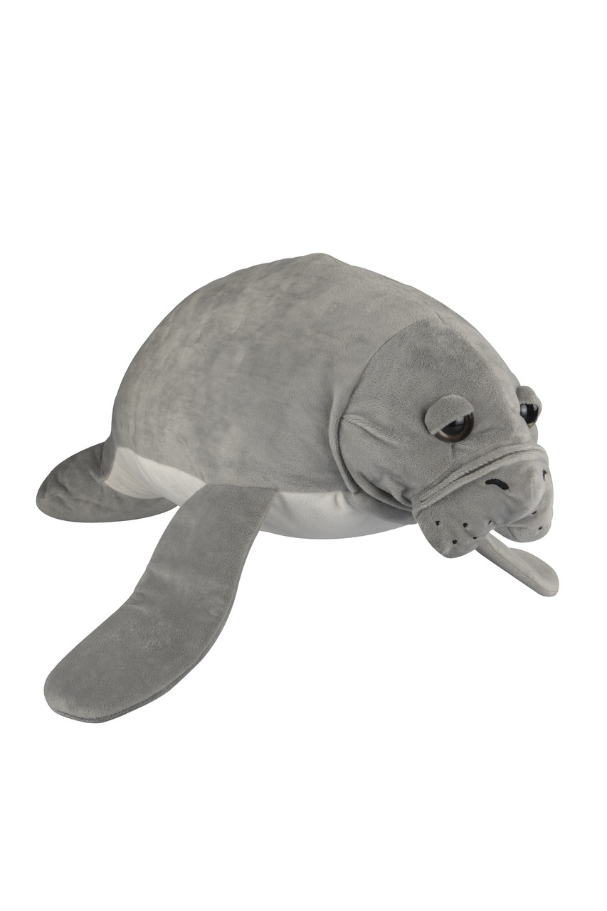 Splash Manatee