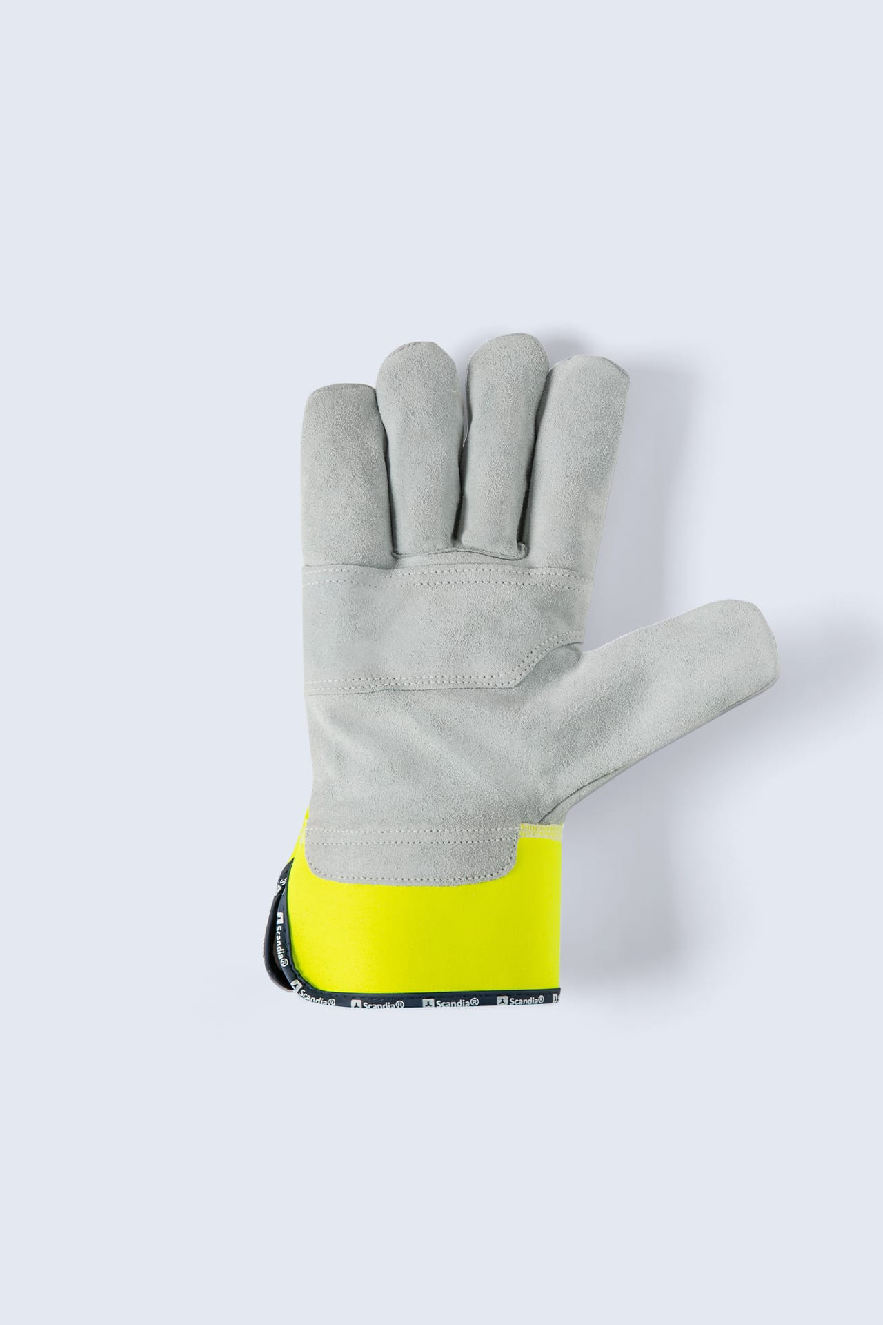 ScanPalm (12 pairs)